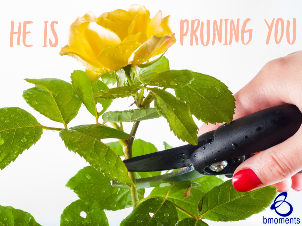 Remember that God Is Pruning You - Blues to Blessings | Moving from ...